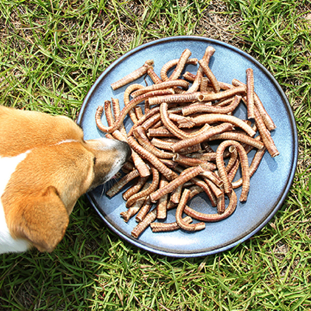 【毛孩食務所】寵鮮灶腳-櫻桃鴨脆管/犬貓通吃零食｜新光三越 skm online｜skm online 新光三越線上官方購物平台