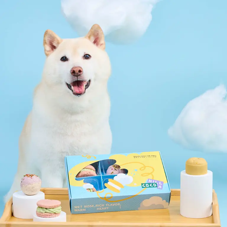 【COCONILLA】2025 寵物手工月餅6入盒裝 和寶貝一起過中秋｜新光三越 skm online｜skm online 新光三越線上官方購物平台